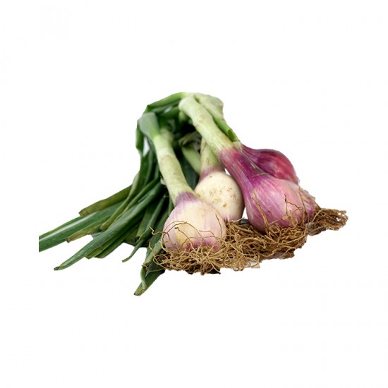 CEBOLLA BLANCA POR KILO - supercampesino.com